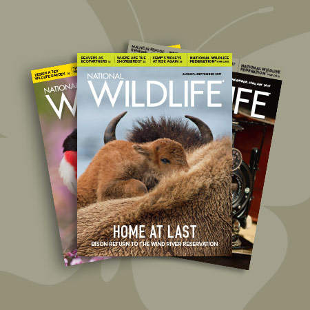 National Wildlife® Magazine Archive