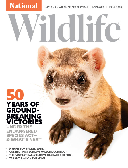 Fall 2023 | National Wildlife Magazine