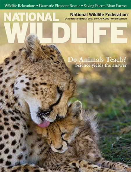 October–November 2015 | National Wildlife Magazine